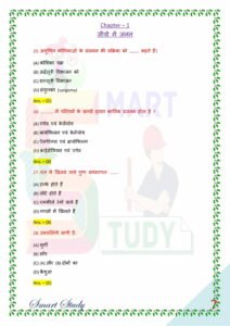 Class 12 Biology Objective Questions Chapter 1 | जीवो में जनन - Our ...